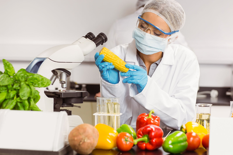 Food Testing Lab In Delhi Food Products Testing Food Testing Lab In Delhi Food Products Testing
